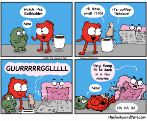 The Awkward Yeti